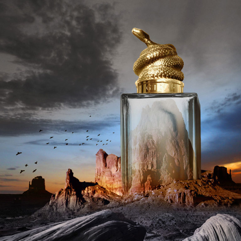 Origin of Gin - History of Gin | Kingspirit